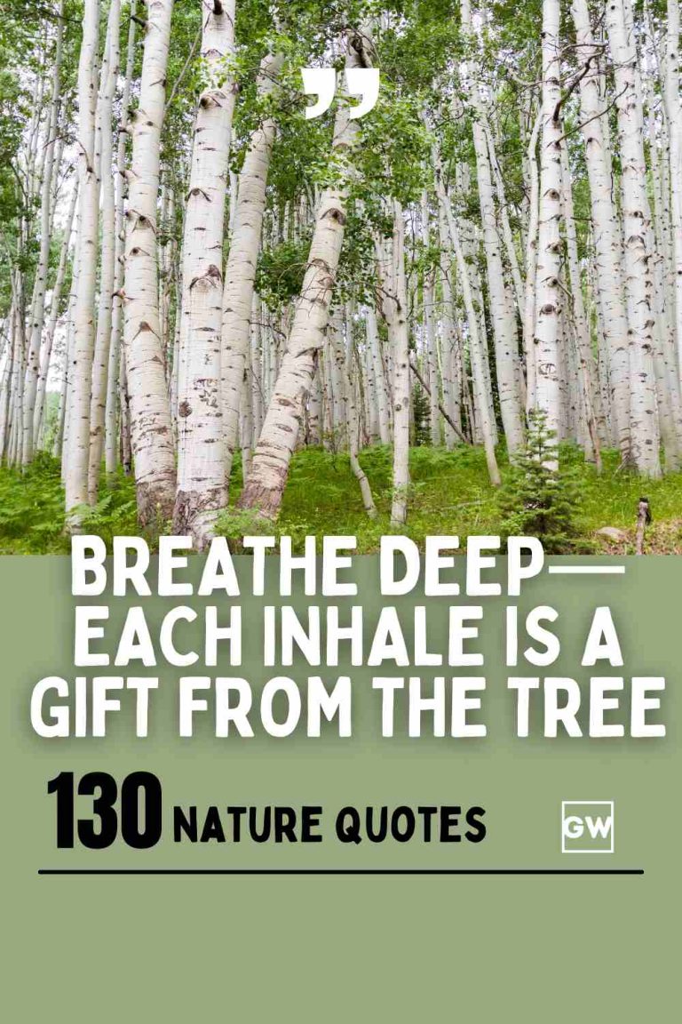 130 Powerful Nature Quotes to Motivate Your Life and Work