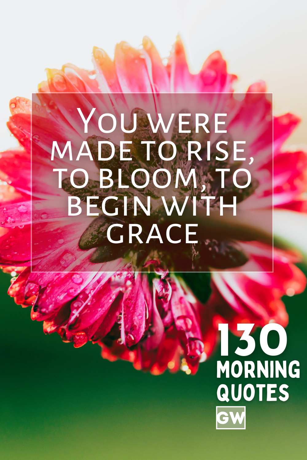 130 Good Morning Quotes with Flowers and Beauty Themes