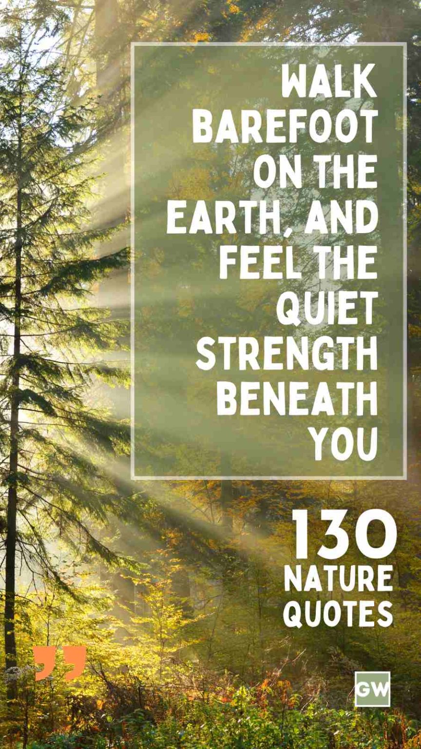 130 Powerful Nature Quotes to Motivate Your Life and Work