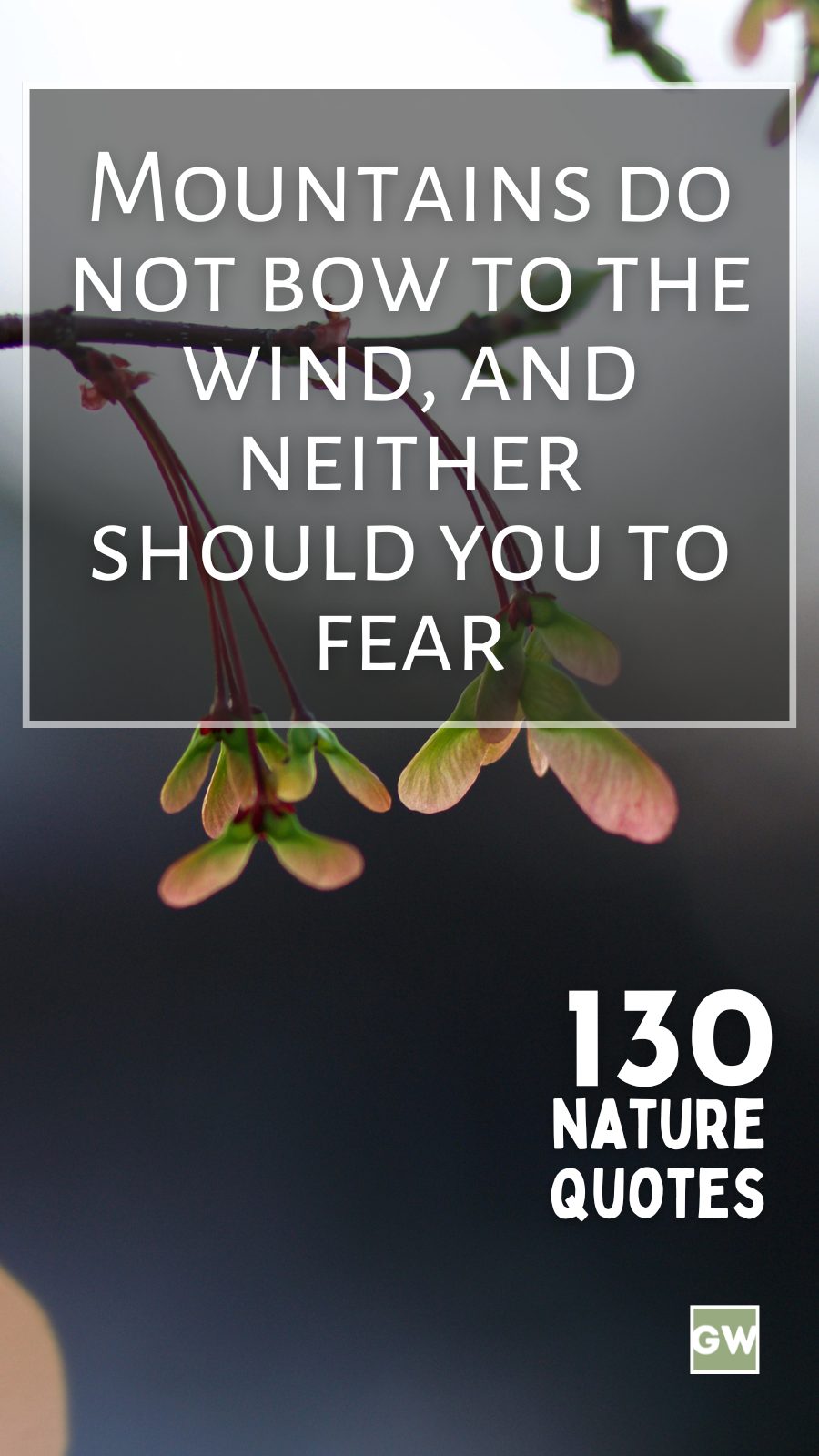 130 Powerful Nature Quotes to Motivate Your Life and Work