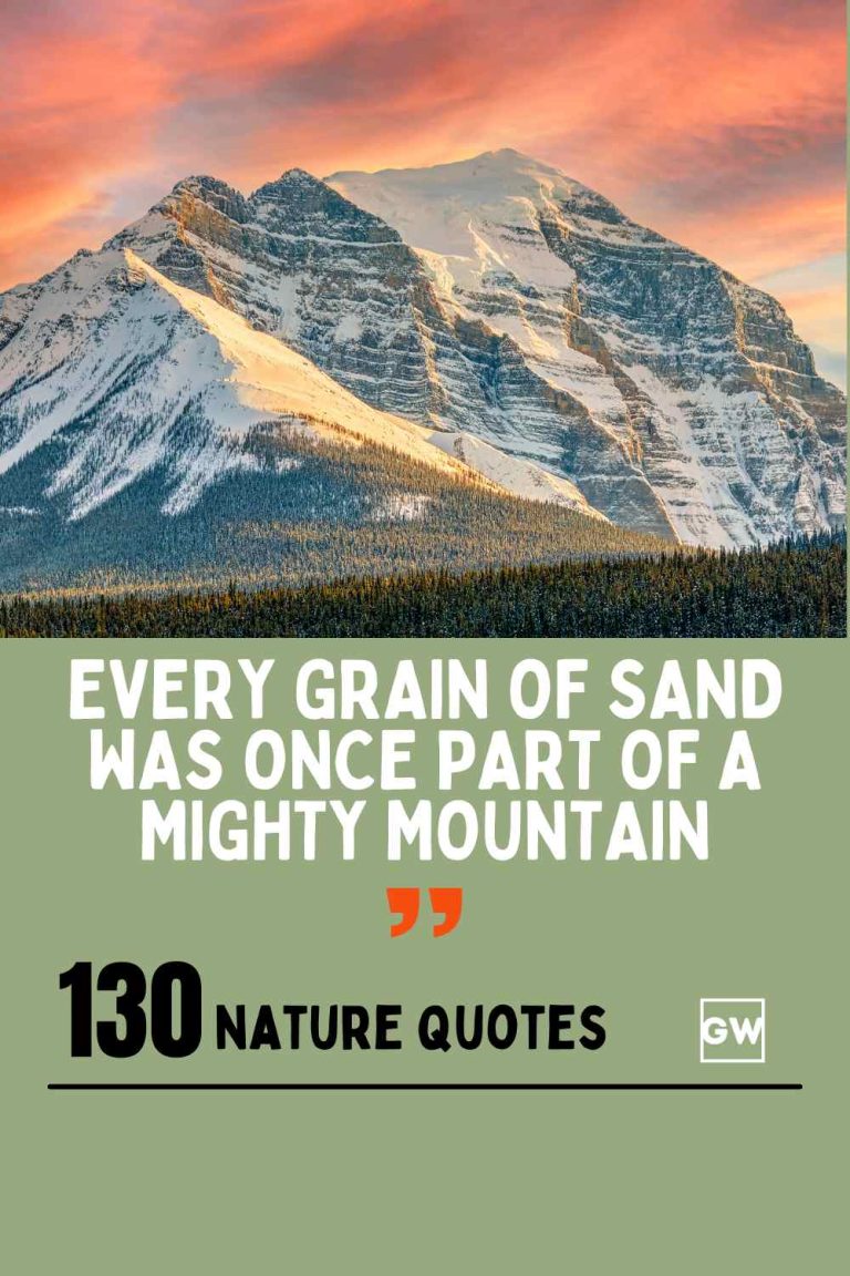 130 Powerful Nature Quotes to Motivate Your Life and Work