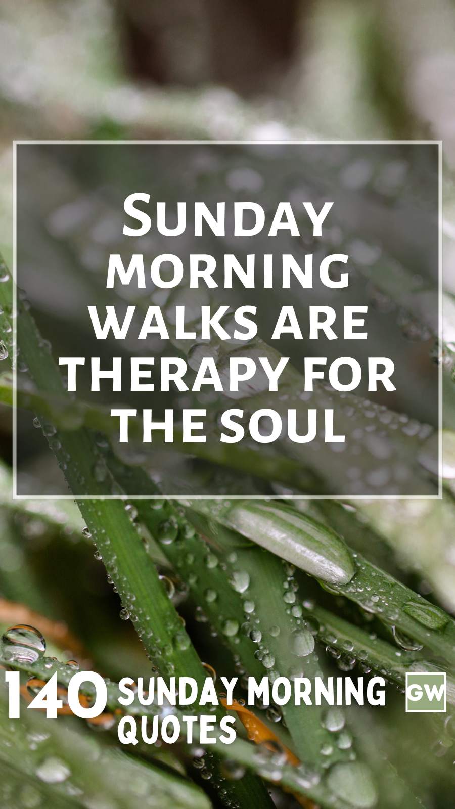 140 Sunday Good Morning Quotes