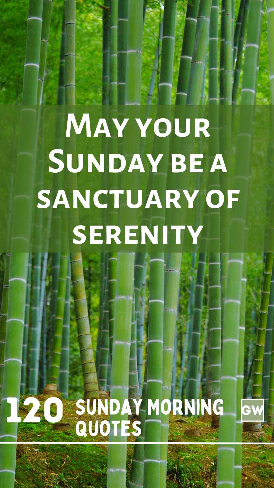 120 Blessed Sunday Good Morning Quotes to Lift Your Spirit