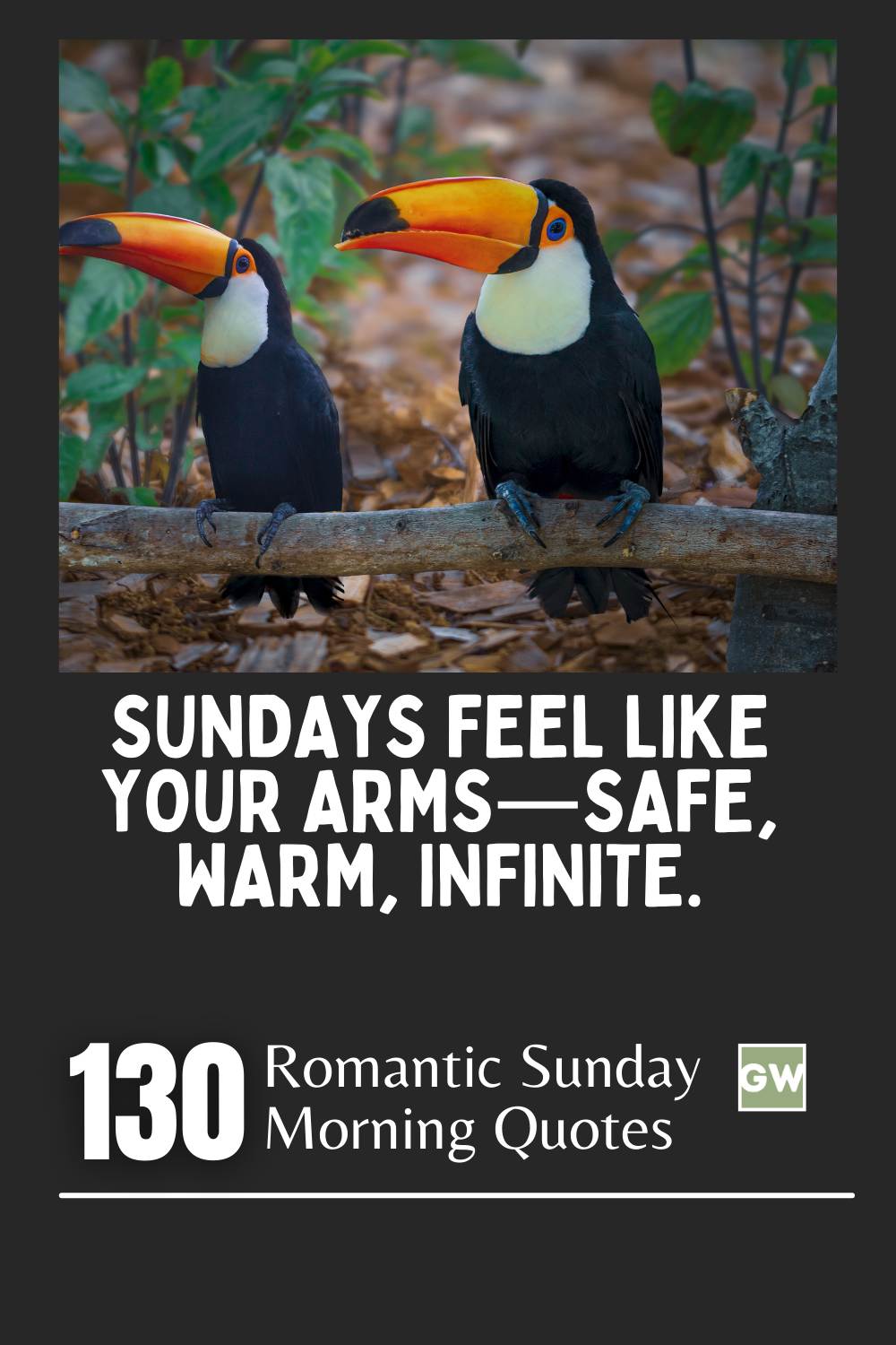 130 Romantic Sunday Good Morning Quotes for Him