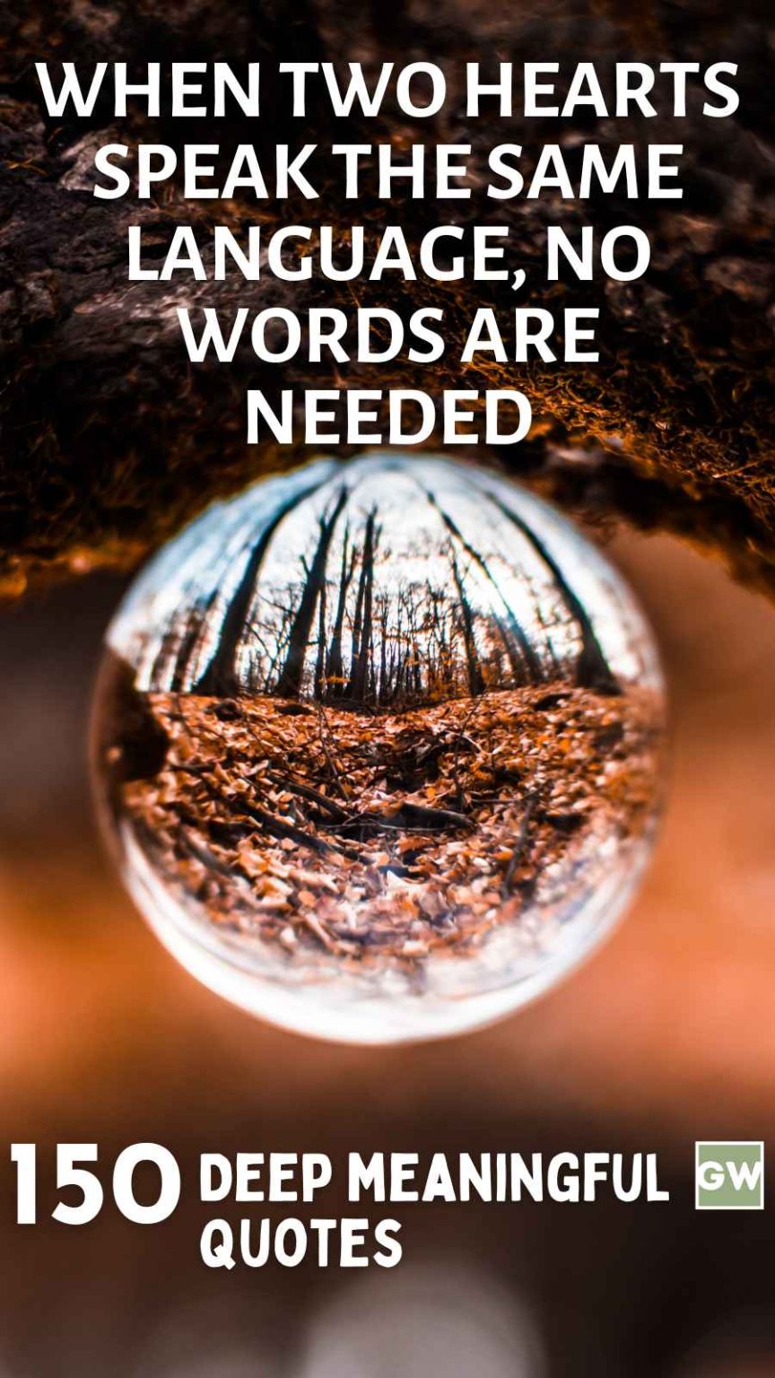 150 Deep Meaningful Quotes About Love and Connection